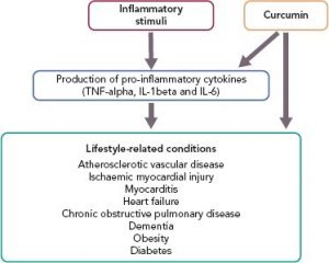 Anti-inflammatory action of Curcumin | Curcumall